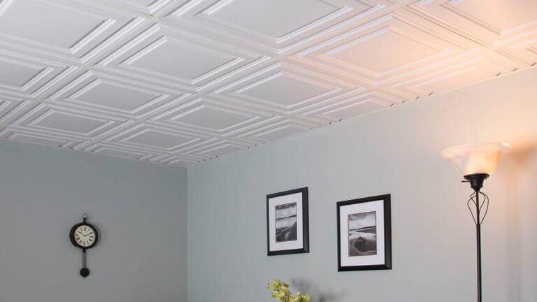 CeilingMAX - ACP Ideas