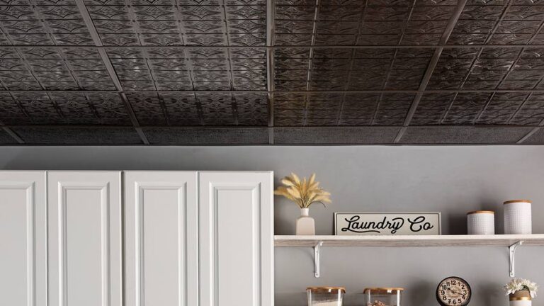 CeilingMAX - ACP Ideas